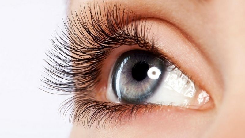 Nối mi là gì? Quy tắc nối mi và các bước nối mi chuẩn