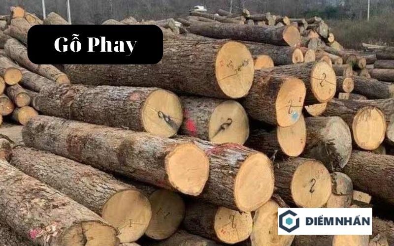 Gỗ phay là gỗ gì? Giá bao nhiêu? Đặc điểm nhân dạng.