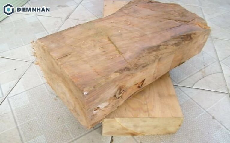 Gỗ hoàng đàn là gì? Có mấy loại? Giá 1kg gỗ mới nhất 2024