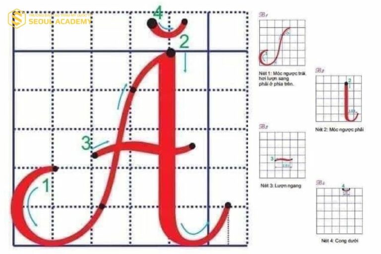 Cách viết 29 chữ cái in hoa đẹp cơ bản - 8 Bảng chữ cái viết hoa đẹp